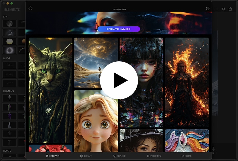 BrainFeverAI Support